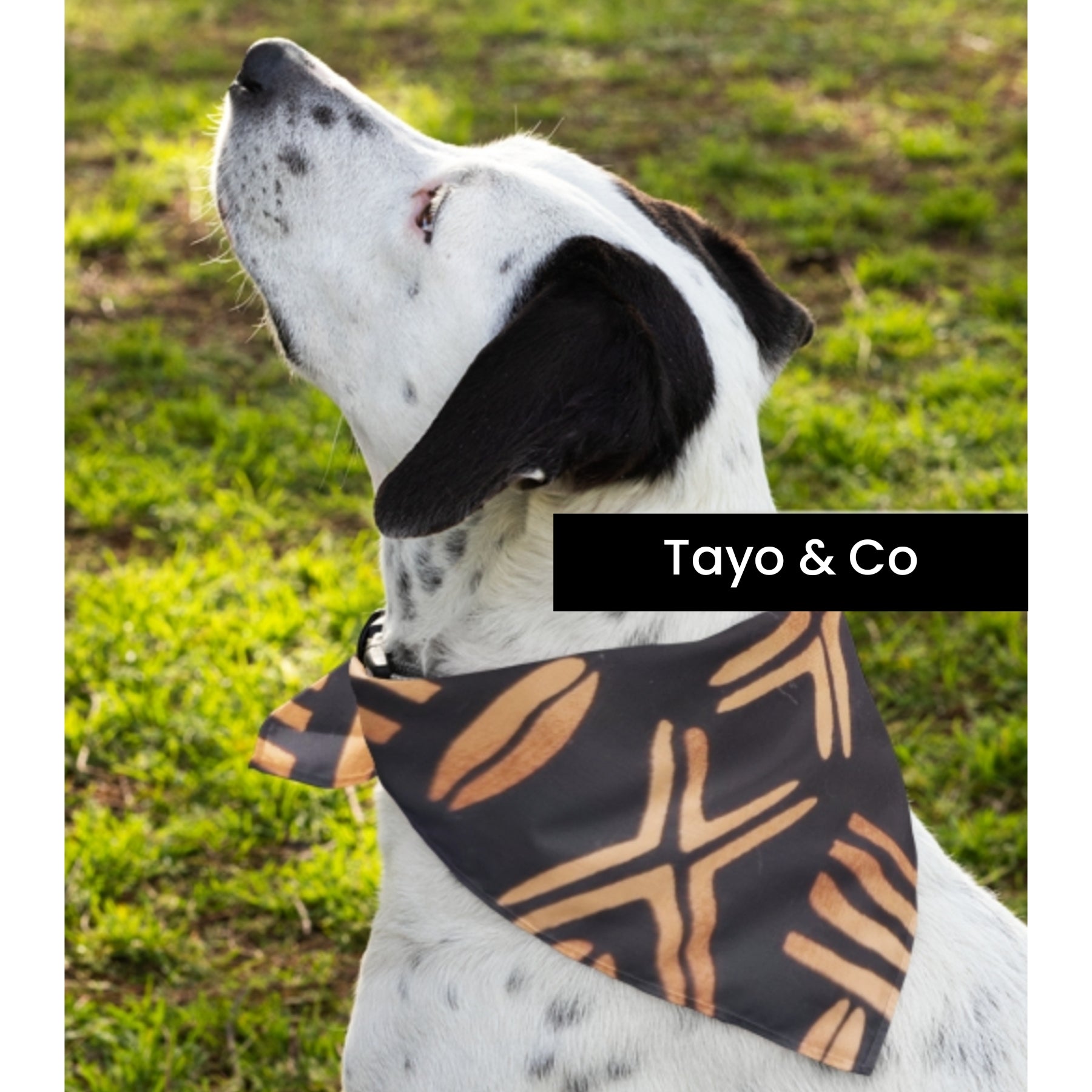Maya Bandana – Australian Animal Oral Care